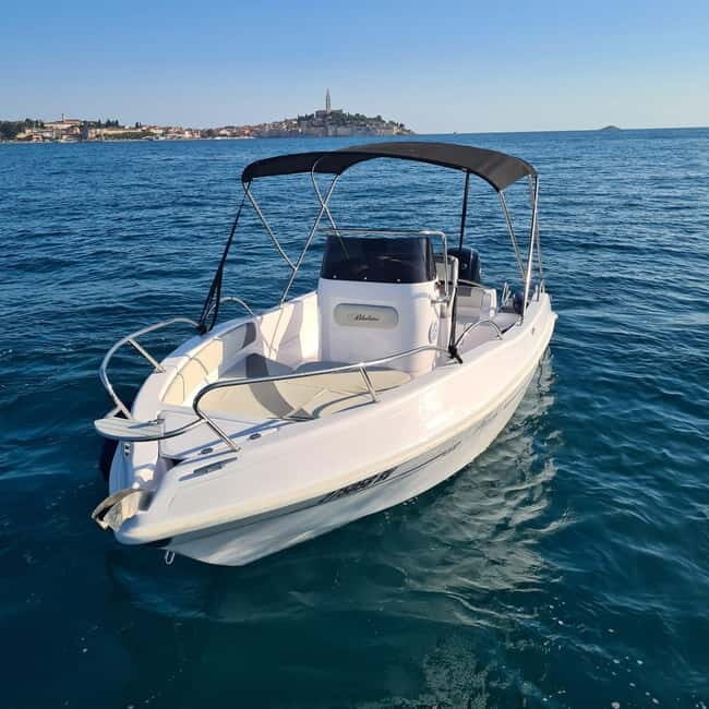 Rovinj: Shared Dolphin and Sunset Tour with Drinks - Who Should Skip This Tour?