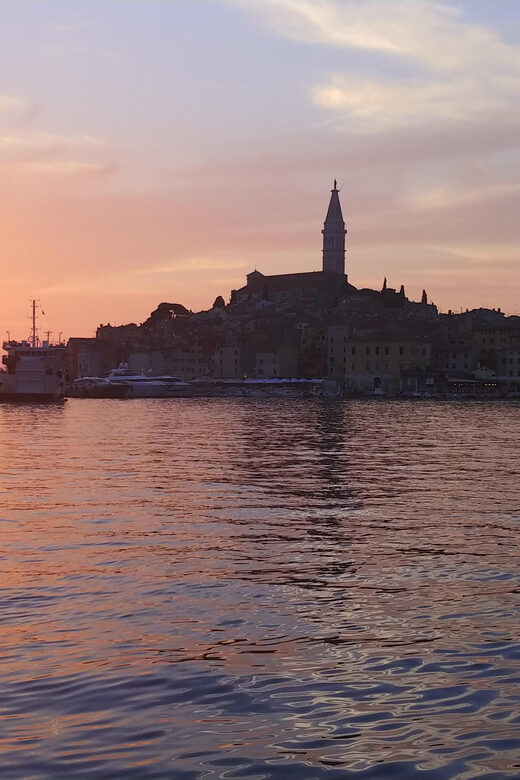Rovinj: Sunset Speedboat Tour with Dolphin Watching - Key Points