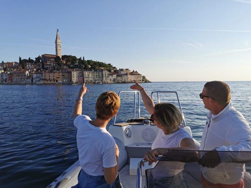 Rovinj: Sunset Speedboat Tour with Dolphin Watching - The Sum Up