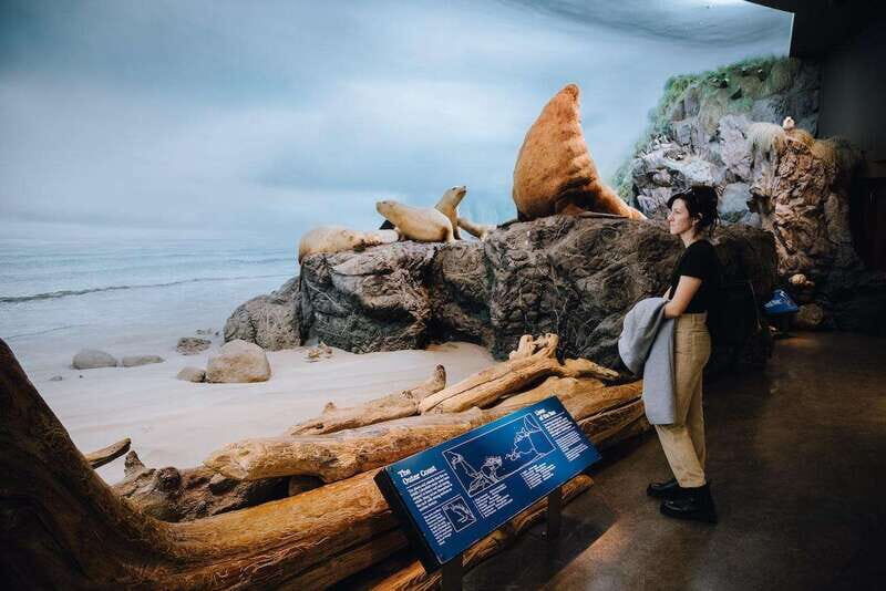 Royal B.C. Museum in Victoria: Full-Day Admission Ticket - The Outdoor and Additional Attractions