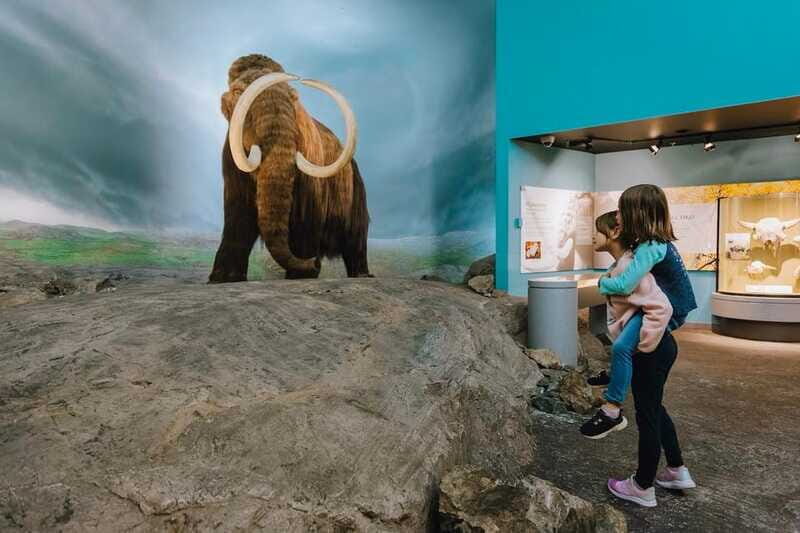 Royal B.C. Museum in Victoria: Full-Day Admission Ticket - The Visitor Experience & Practical Details