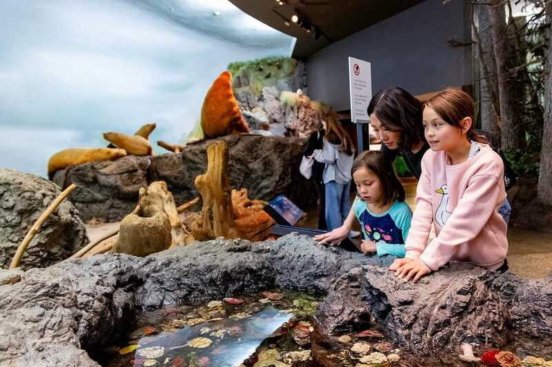 Royal B.C. Museum in Victoria: Full-Day Admission Ticket - Practical Tips for Visitors