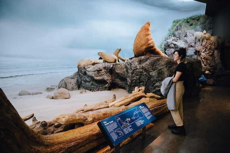 Royal B.C. Museum in Victoria: Full-Day Admission Ticket - The Verdict: Is It Worth It?