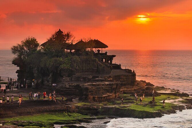 Royal Family Temple, Monkey Forest, and Tanah Lot Sunset Tour - Discovering Bali’s Sacred and Natural Wonders