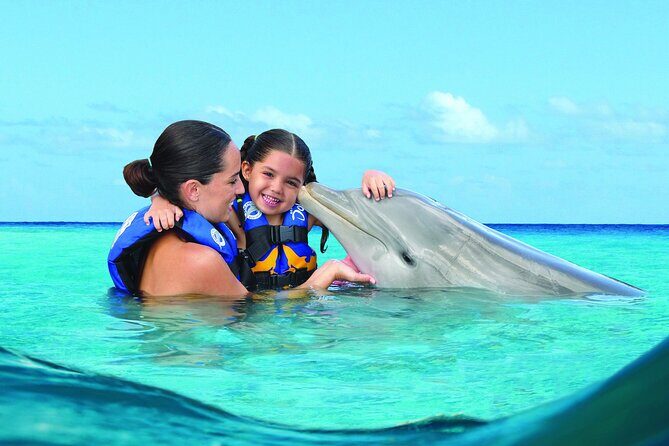 Royal Garragon with Dolphin Encounter in Isla Mujeres - Key Points