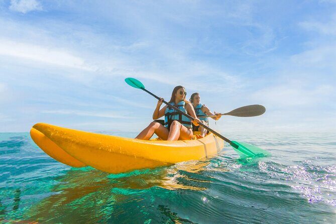 Royal Garragon with Dolphin Encounter in Isla Mujeres - Whats Included and Whats Not
