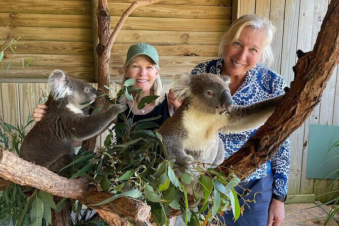 Royal National Park Hike, Swim and Wildlife Tour - What the Tour Means for You