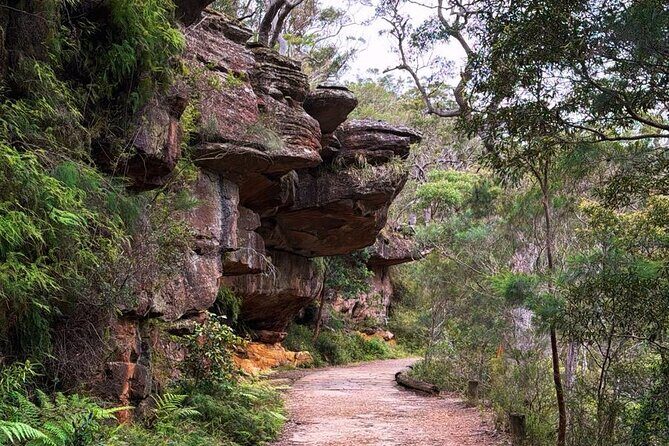 Royal National Park Private Tour & with Pick and Drop Off - The Sum Up: Who Will Love This Tour?