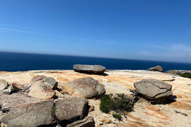 Royal National Park Wilderness Half-Day from Sydney with Picnic - What to Expect from the Experience