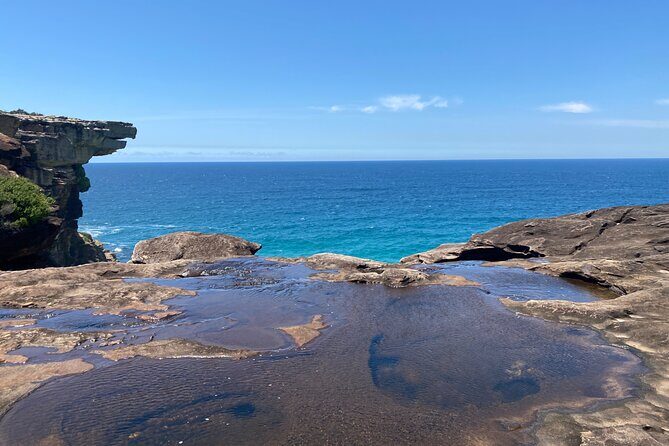 Royal National Park Wilderness Half-Day from Sydney with Picnic - Authenticity and Experience