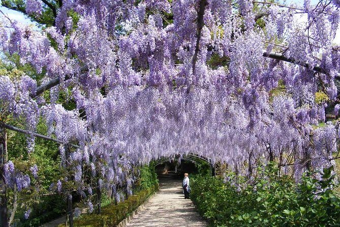 Royal Paths of Florence: Explore the Boboli Gardens - What Travelers Say About This Tour