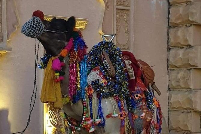 Royal Rajasthan 10 Days Private Tour Package By Car - What the Tour Means for You