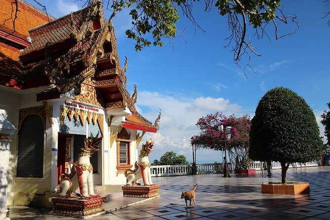 Royal Residence & Wat Phrathat Doi Suthep Half Day Tour From Chiang Mai - Why This Tour Works for Most Travelers