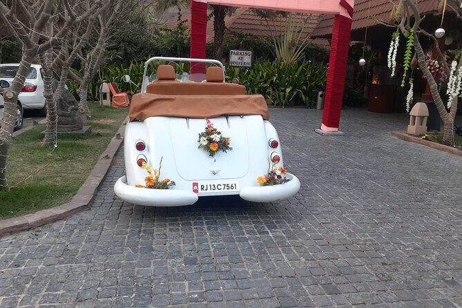 Royal Tour of Jaipur City - Private Tour by Vintage Car - Who Will Love This Tour?