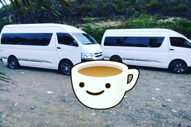 Royalton Saint Lucia - Airport Transfer - Hewanorra International Airport (UVF) - Detailed Experience Breakdown