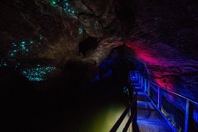 Ruakuri Cave and Hamilton Gardens Private Day Tour from Auckland - The Underground Marvel: Ruakuri Cave