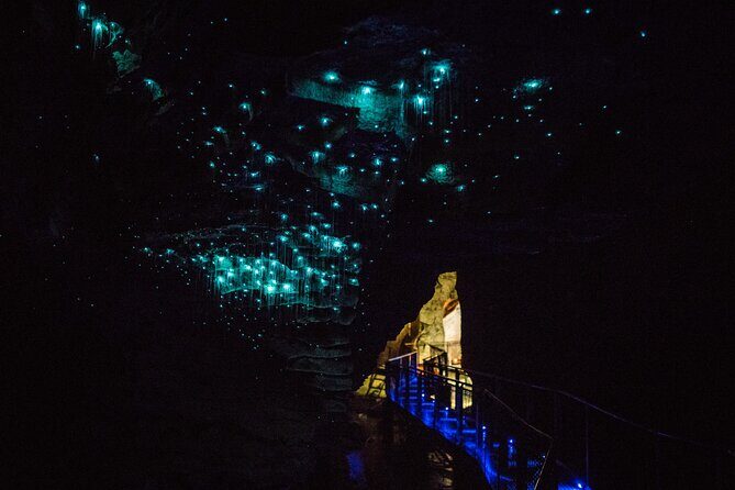 Ruakuri Cave and Hamilton Gardens Private Day Tour from Auckland - A Brief Stop at Waitomo Glowworm Caves