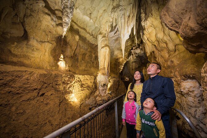Ruakuri Cave and Hamilton Gardens Private Day Tour from Auckland - The Floral Paradise of Hamilton Gardens