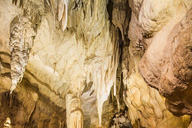 Ruakuri Cave and Hamilton Gardens Private Day Tour from Auckland - Scenic Stops Along the Waikato River