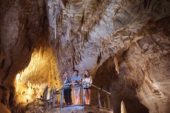 Ruakuri Cave and Hamilton Gardens Private Day Tour from Auckland - Final Thoughts on Value and Experience