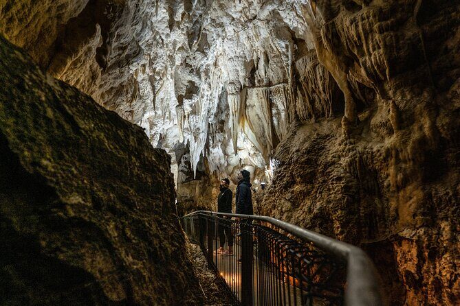 Ruakuri Cave and Hamilton Gardens Private Day Tour from Auckland - Who Should Consider This Tour?