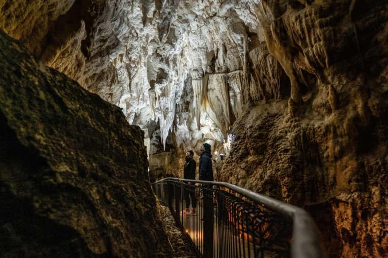 RUAKURI CAVE & HAMILTON GARDENS-PRIVATE TOUR FROM AUCKLAND - Explore New Zealand’s Hidden Gems: Ruakuri Cave & Hamilton Gardens — Private Tour from Auckland