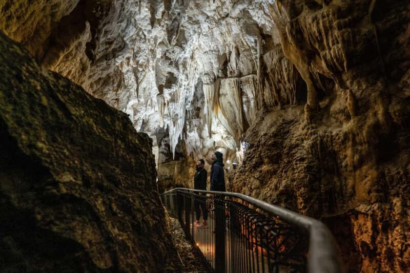 RUAKURI CAVE & HAMILTON GARDENS-PRIVATE TOUR FROM AUCKLAND - Key Points
