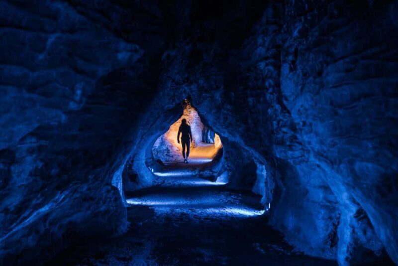 RUAKURI CAVE & HAMILTON GARDENS-PRIVATE TOUR FROM AUCKLAND - Final Thoughts: Who Is This Tour For?