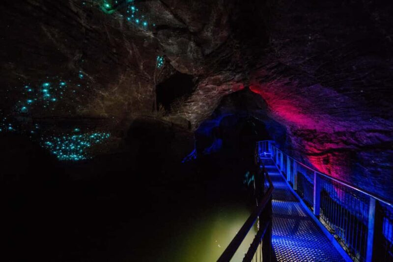 RUAKURI CAVE & HAMILTON GARDENS-PRIVATE TOUR FROM AUCKLAND - Final Take