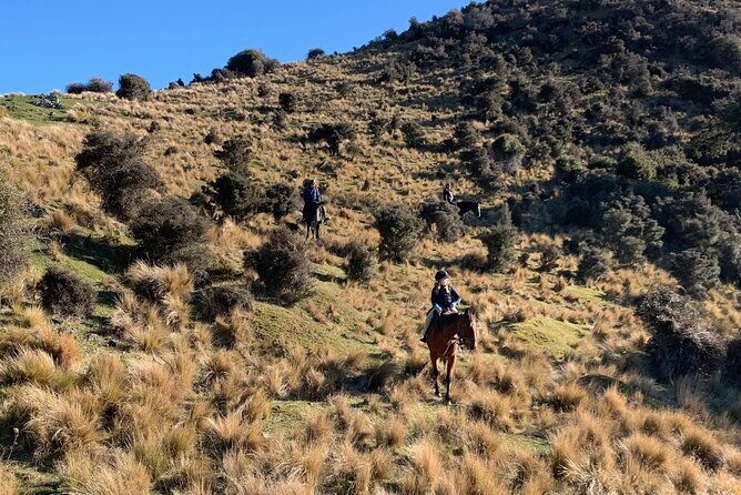 Rubicon Valley Horse Treks - 2 Hour River Trail Horse Trek - Insight from the Reviews