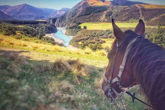 Rubicon Valley Horse Treks - 2 Hour River Trail Horse Trek - The Sum Up