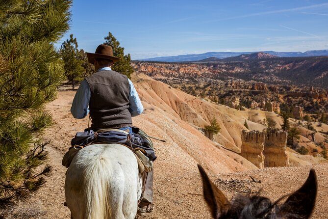 Ruby's Horseback Adventures Utah 1.5 Hour Ride - An In-Depth Look at the Experience