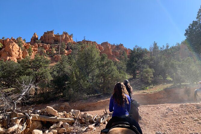 Ruby's Horseback Adventures Utah Half Day Ride - Introduction: A Ride Through Utah’s Stunning Red Canyon