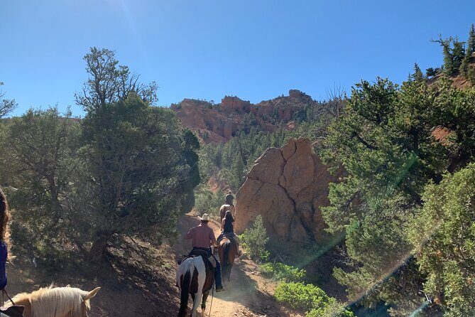 Ruby's Horseback Adventures Utah Half Day Ride - Analyzing Value: Price and Overall Experience