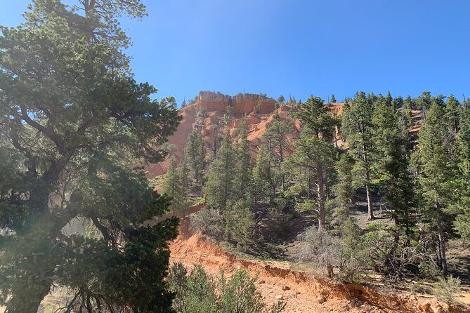 Ruby's Horseback Adventures Utah Half Day Ride - Final Thoughts: Who Should Consider This Ride?