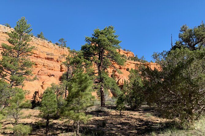 Ruby's Horseback Adventures Utah Half Day Ride - In The Sum Up