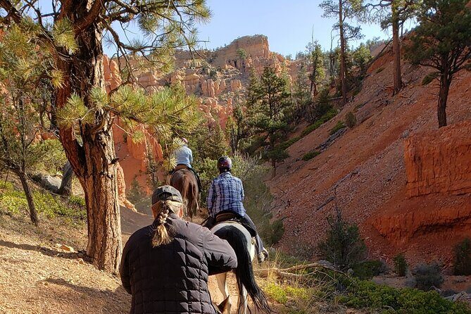 Ruby's Horseback Adventures Utah Thunder Mt. 4 Hour Ride - Who Will Love This Tour?