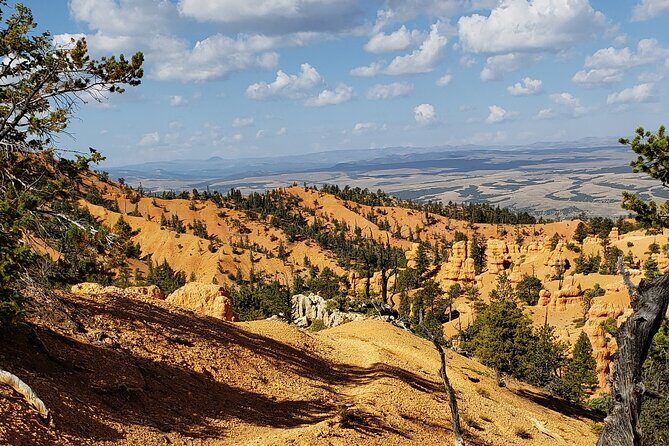 Ruby's Horseback Adventures Utah Thunder Mt. 4 Hour Ride - The Sum Up: Is This Ride Worth It?