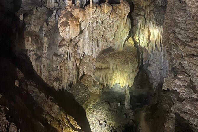 Ruc Mon 1 Day Adventure - Experience Worth Noting from Reviews