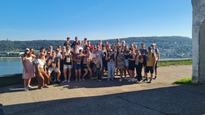 Rüdesheim am Rhein: wine hike and sights - The Sum Up