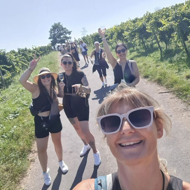 Rüdesheim am Rhein: wine hike and sights - Who Would Love This Tour?