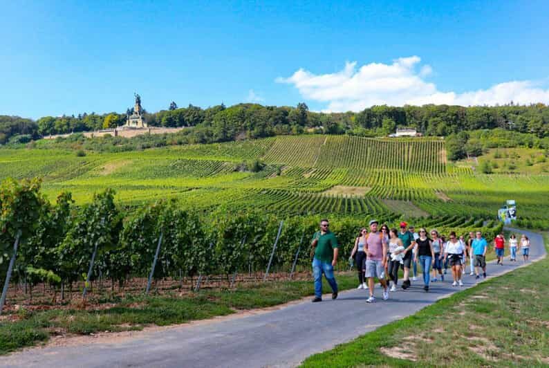 Rüdesheim - Guided wine hikes with 4wines and cable car ride - An In-Depth Look at the Tour