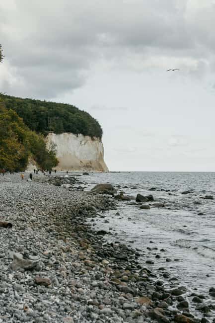 Rügen Island: OneDay trip on the Baltic seacoast from Berlin - Deep Dive Into the Experience