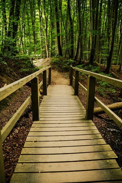 Rügen Island: OneDay trip on the Baltic seacoast from Berlin - Cost and Value