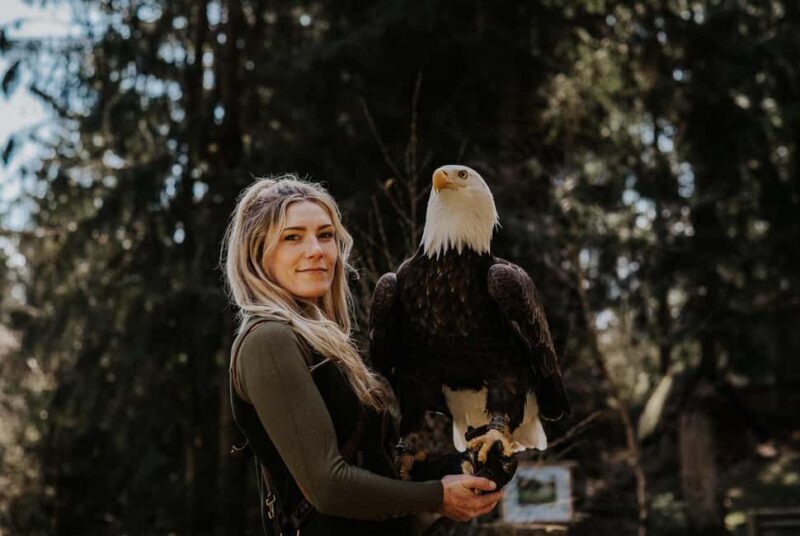 Ruhla: Ticket for a flight show with eagles, owls, and more. - Key Points
