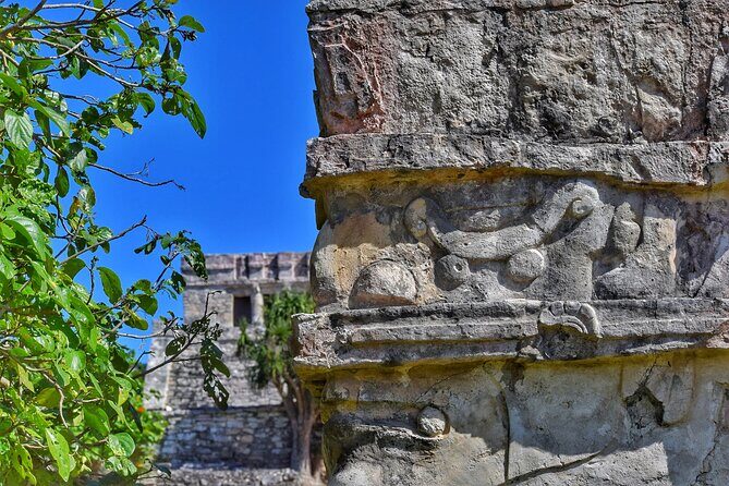 Ruins of Tulum Expres Half Day Private Tour - Who Is This Tour Best For?