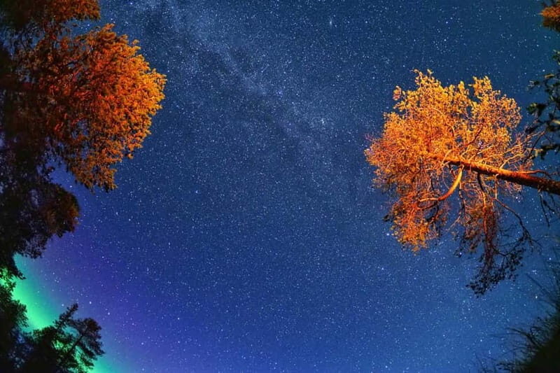 Ruka: Guided Northern Lights Hike - Practical Details and Tips