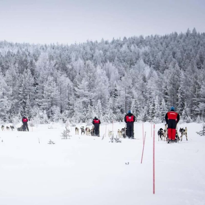 Ruka: Husky Ride and Farm Visit + Fireside Treats - Exploring the Husky Ride and Farm Visit in Ruka