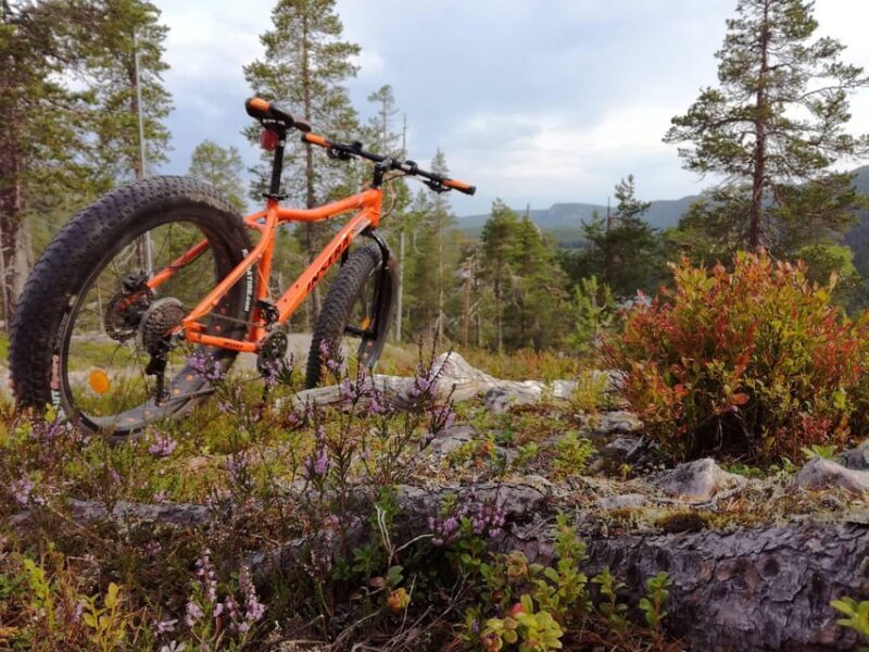 Ruka : Into the forest with fatbikes - Ruka: Into the Forest with Fatbikes — A Detailed Look