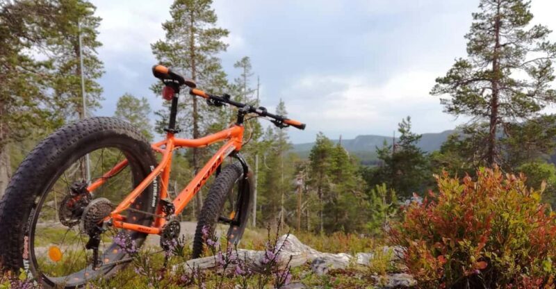 Ruka : Into the forest with fatbikes - FAQs